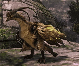 Stargazer | Dragonsprophet Wiki | Fandom