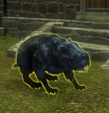 Black Sewer Rat | Dragonsprophet Wiki | Fandom