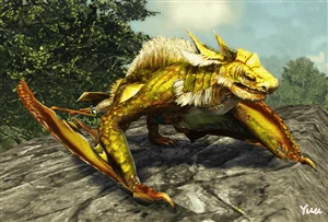 Cinyorin Wolfwing Dragon | Dragonsprophet Wiki | Fandom