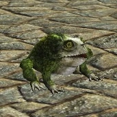 Companions | Dragonsprophet Wiki | Fandom