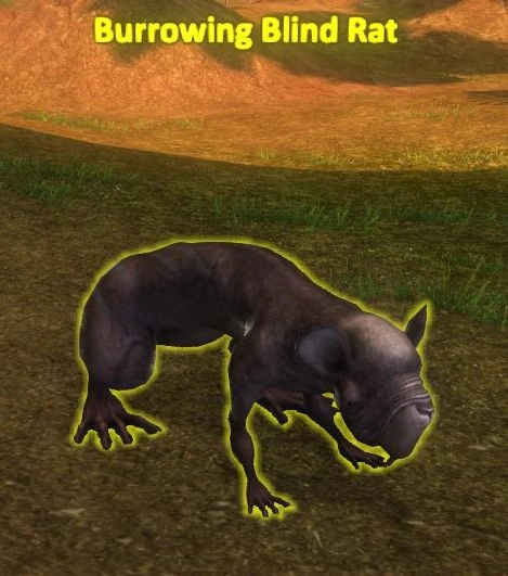 Burrowing Blind Rat | Dragonsprophet Wiki | Fandom