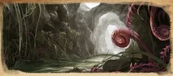 Olandra | Dragonsprophet Wiki | Fandom
