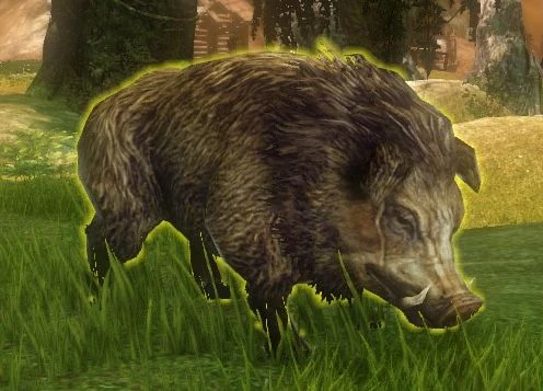 Parsing Wild Boar | Dragonsprophet Wiki | Fandom
