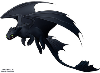 Toothless | Dragons Riders of Berk Wiki | Fandom