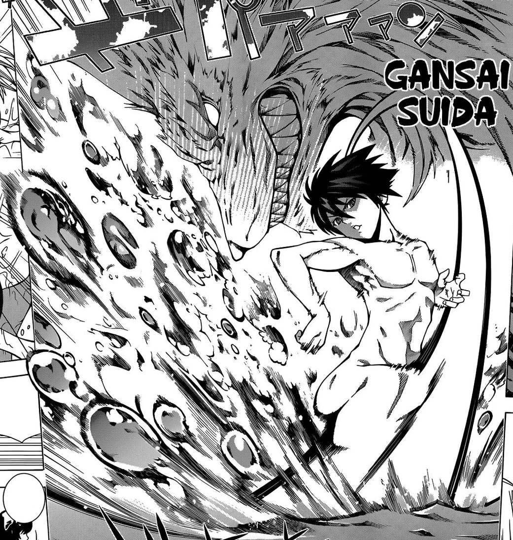 Gansai Suida | Wiki Dragons Rioting | Fandom