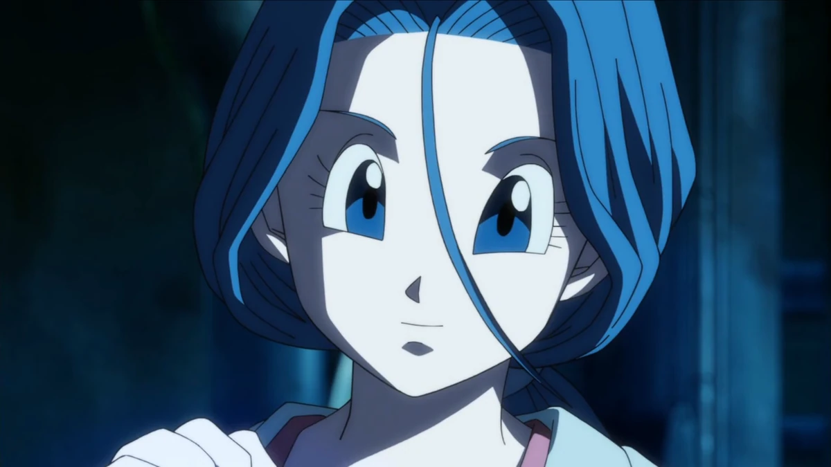 Bulma | Dragon Universe Wiki | Fandom