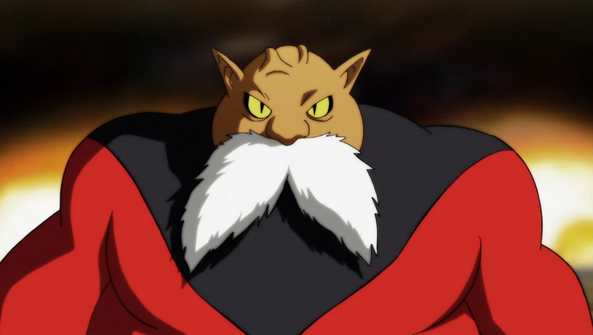 Toppo | Dragon Universe Wiki | Fandom