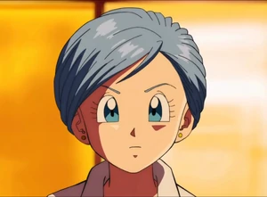 Bulma | Dragon Universe Wiki | Fandom