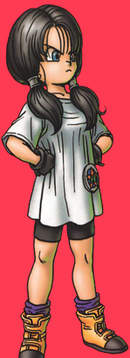 Videl | Dragon Universe Wiki | Fandom