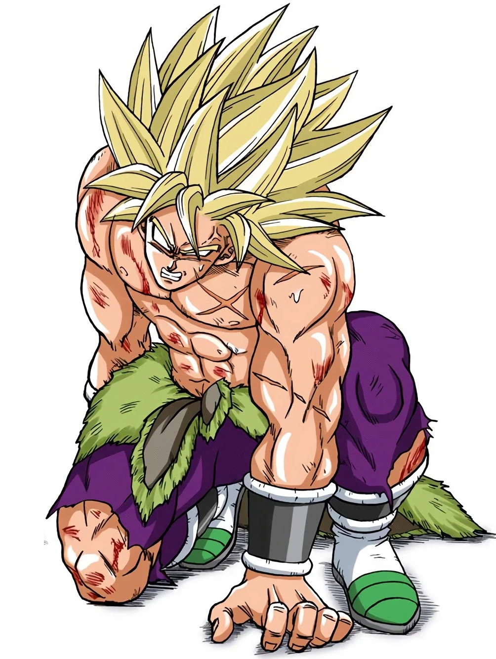 Image Broly Ssj5png Dragon Ball Wiki Broly | Dragon Ball Wiki | Fandom
