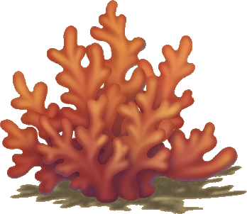 Medium Coral | DragonVale Wiki | Fandom