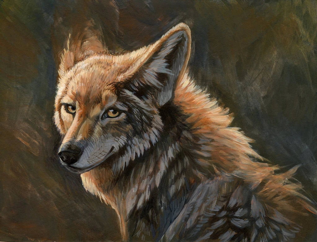 The Coyotes | Dragonvaleinfo Wiki | Fandom