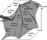 Dragon Anatomy | Dragon Weyr Wiki | Fandom
