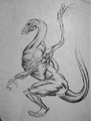 Dragon Anatomy | Dragon Weyr Wiki | Fandom