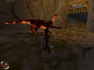 Drakan: Order of the Flame | Drakan Wiki | Fandom