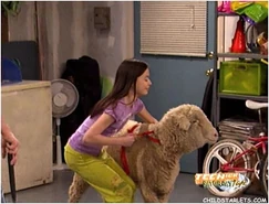 Sheep Thrills/Gallery | Drake and Josh Wiki | Fandom
