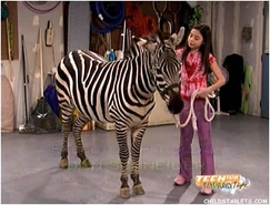 Sheep Thrills/Gallery | Drake and Josh Wiki | Fandom