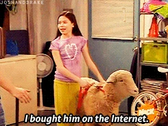 Sheep Thrills/Gallery | Drake and Josh Wiki | Fandom