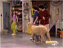 Sheep Thrills/Gallery | Drake and Josh Wiki | Fandom