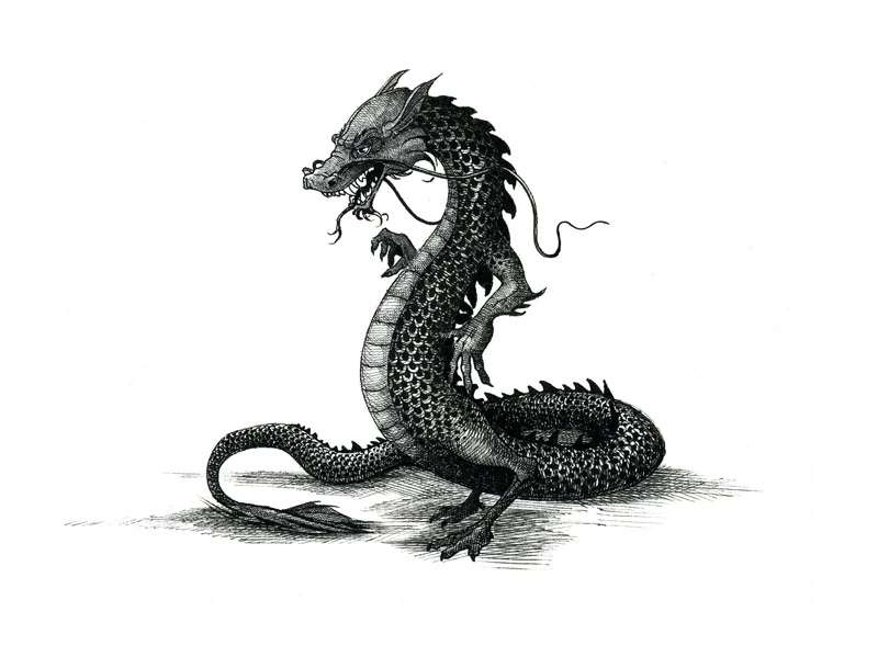 Drakon | Draken wiki | Fandom