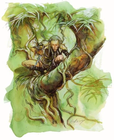 Erevan Ilesere | Wiki Drakenfrost | Fandom