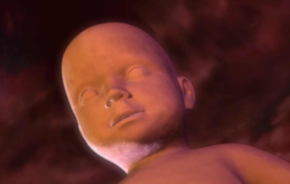 Watchers | Drakengard Wiki | Fandom