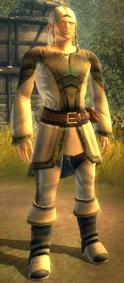 Spellweaver | Drakensang English Wiki | Fandom