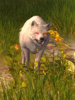 Wolfsrudel (Ausbildungsquest) | Am Fluss der Zeit Wiki | Fandom