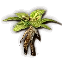 Alraune | Am Fluss der Zeit Wiki | Fandom