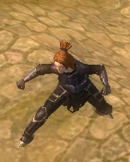 Shadow Minion Armor | Drakensang Online Wiki | Fandom