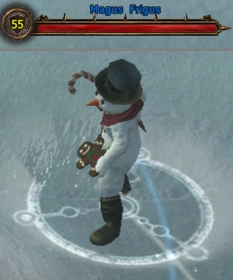 Magus Frigus | Wiki DrakensangOnline | Fandom