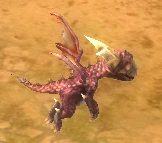 Kleiner Drachling | Drakensang Online Wiki | Fandom