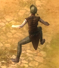 Terra Copper | Drakensang Online Wiki | Fandom