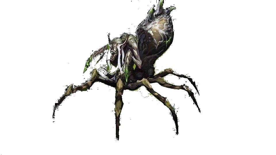 Arachna | Drakensang Online Wiki | Fandom