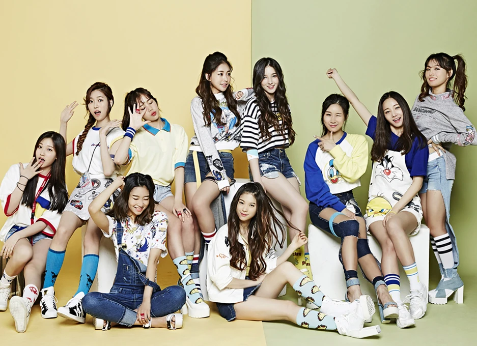 Finding Momoland | Wiki Drama | Fandom