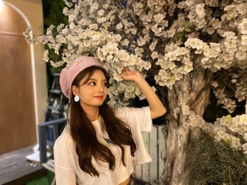 Su Mi | Wiki Drama | Fandom