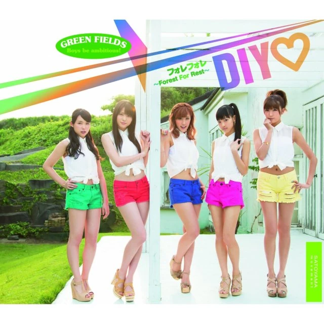 DIY ♡ | Wiki Drama | Fandom