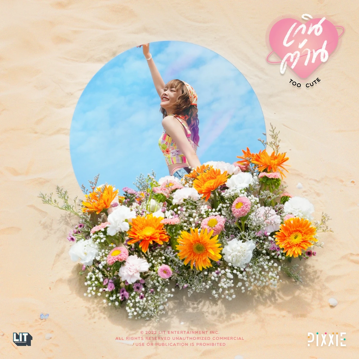 Pimma | Wiki Drama | Fandom