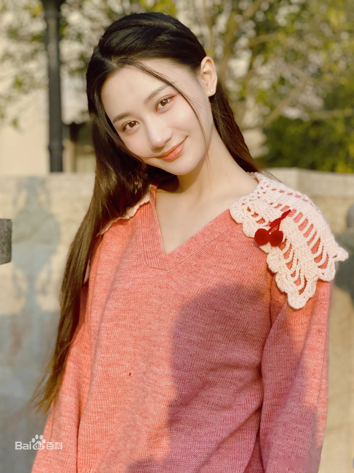 He Xuan Lin | Wiki Drama | Fandom