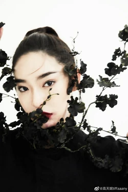 Gao Tian Ni | Wiki Drama | Fandom