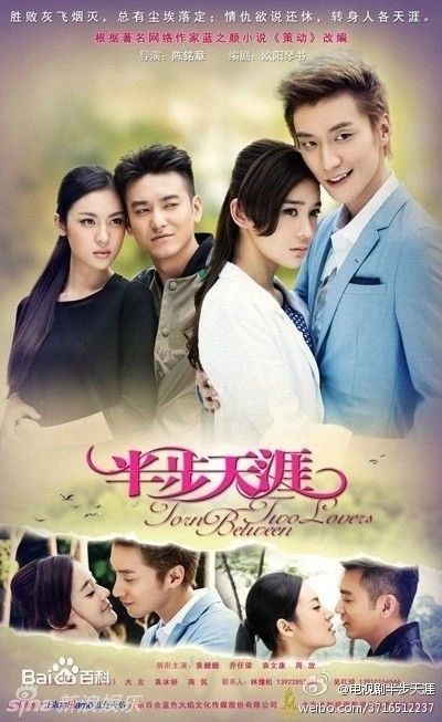 Torn Between Two Lovers | Wiki Drama | Fandom