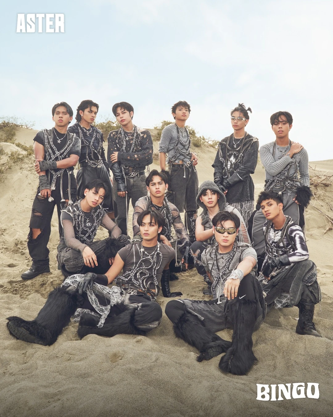 ASTER | Wiki Drama | Fandom