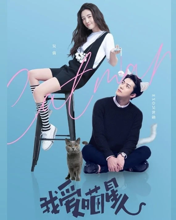 Catman | Wiki Drama | Fandom