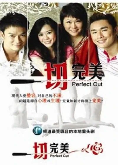 Perfect Cut | Wiki Drama | Fandom