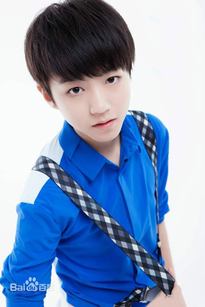 Wang Jun Kai | Wiki Drama | Fandom