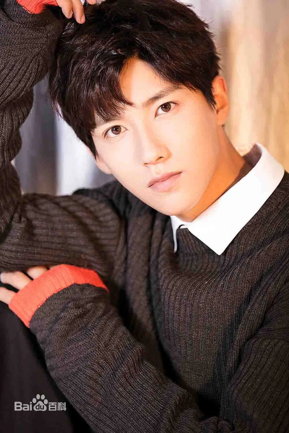 Jia Zheng Yu | Wiki Drama | Fandom