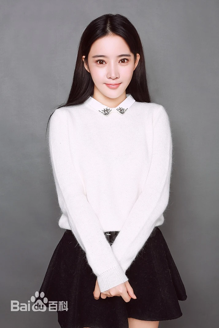 Hong Shi Ya | Wiki Drama | Fandom