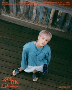 Hoshi | Wiki Drama | Fandom