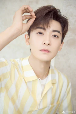 Zhao Zhi Wei | Wiki Drama | Fandom