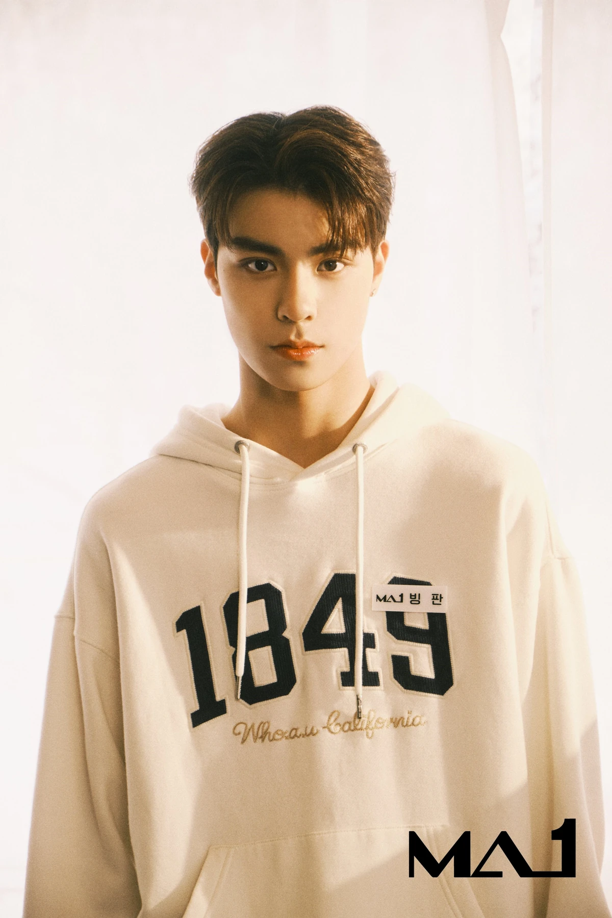 Bing Fan | Wiki Drama | Fandom